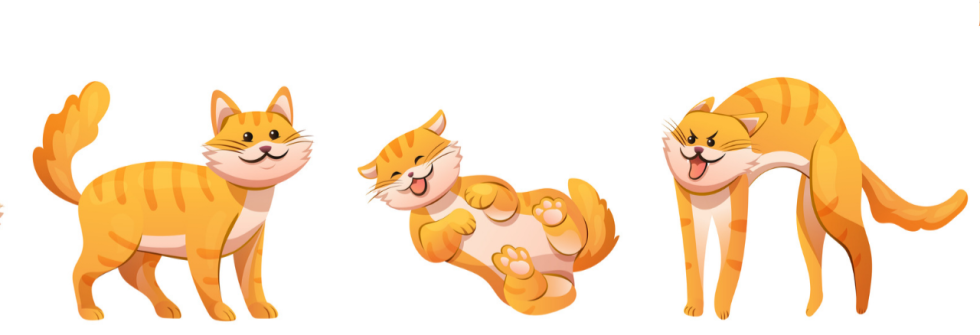 Understanding Cat Language and Signals | Paw Pals